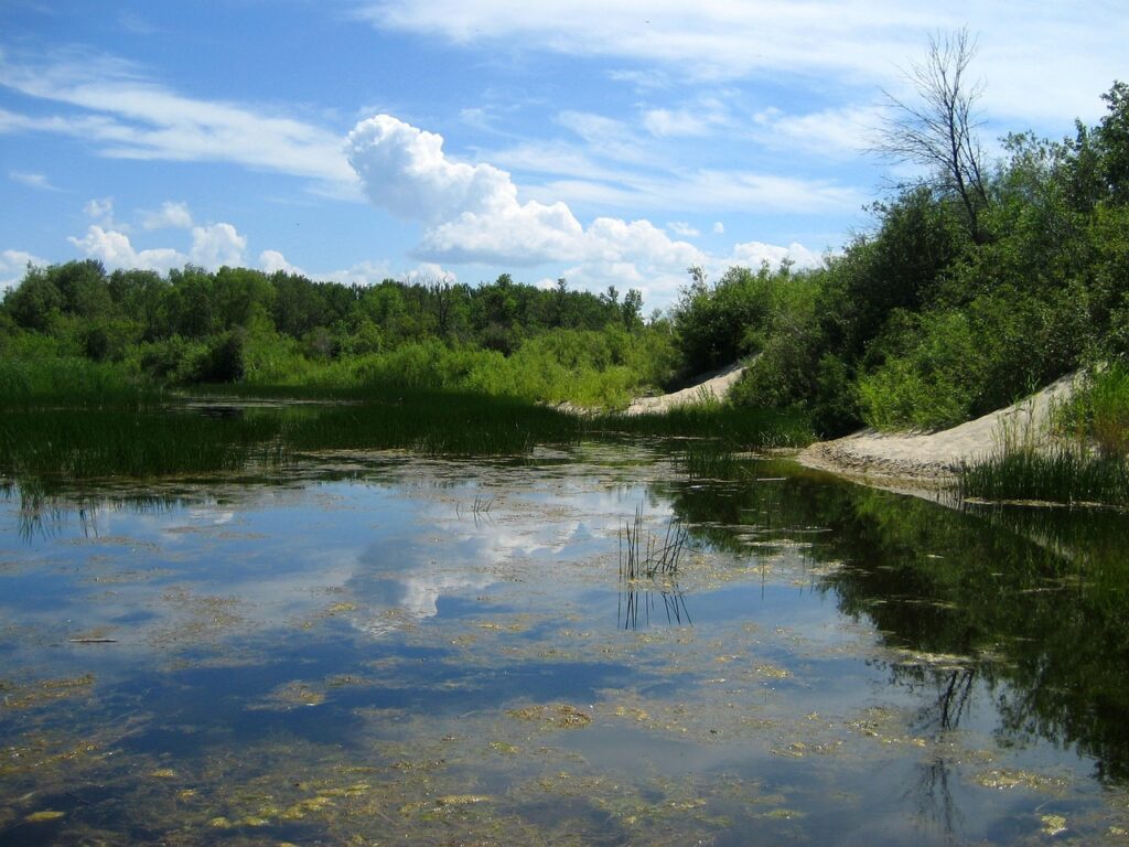 Best Time to Visit Lake Winnipeg (By Season) | Lake.com