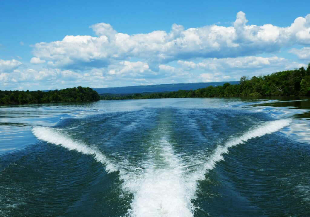 Things to Do at Norris Lake TN: Outdoor Activities & Local Events