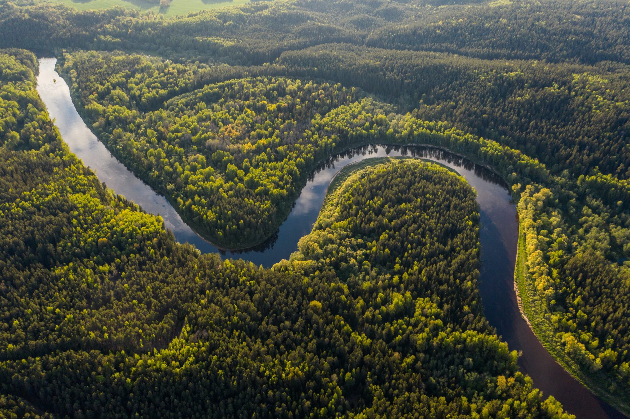 Ecotourism Examples: 15 Sustainable Trip Ideas | Lake.com