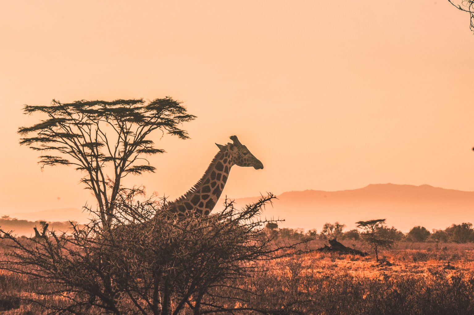 Ecotourism Examples: 15 Sustainable Trip Ideas | Lake.com