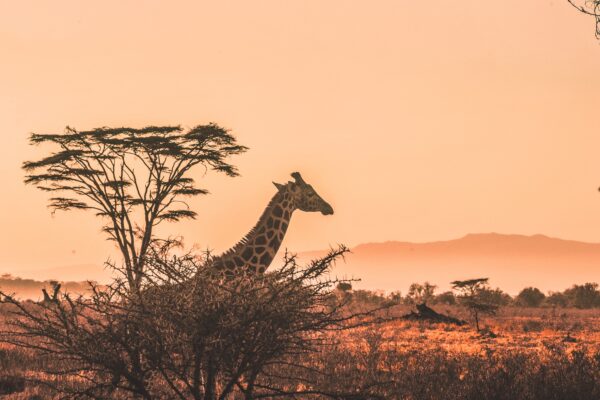 Ecotourism Examples: 15 Sustainable Trip Ideas | Lake.com