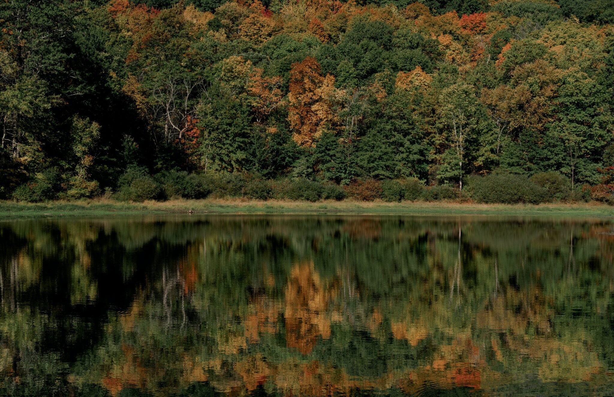 Things to Do in Lake Mohonk: Travel Guide | Lake.com