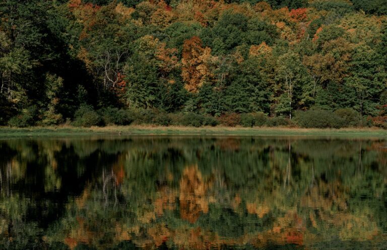 Things to Do in Lake Mohonk: Travel Guide | Lake.com