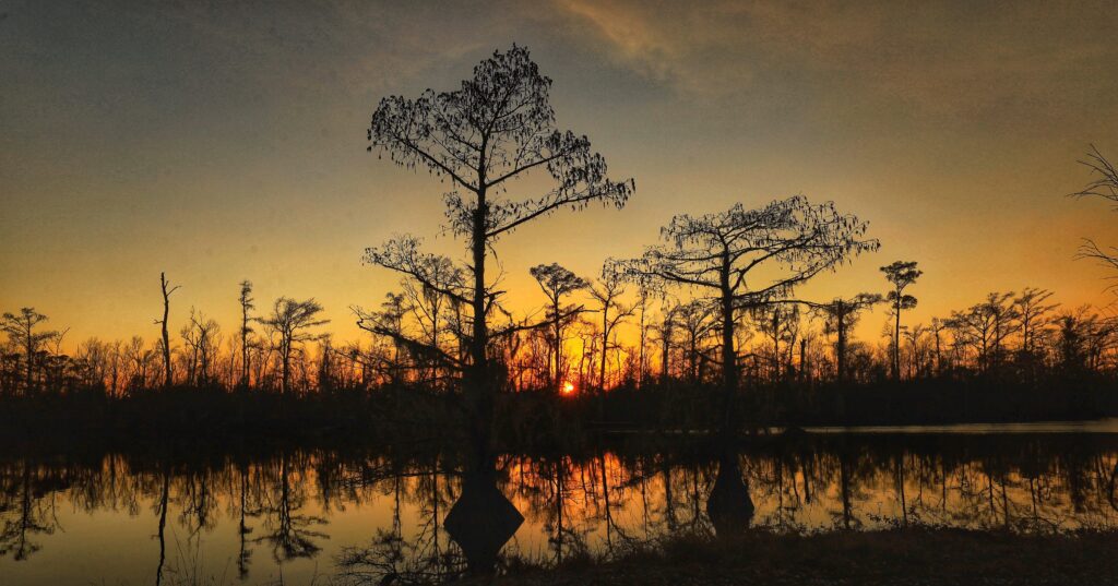 Top Things to Do in Lake Charles LA Activities and Attractions