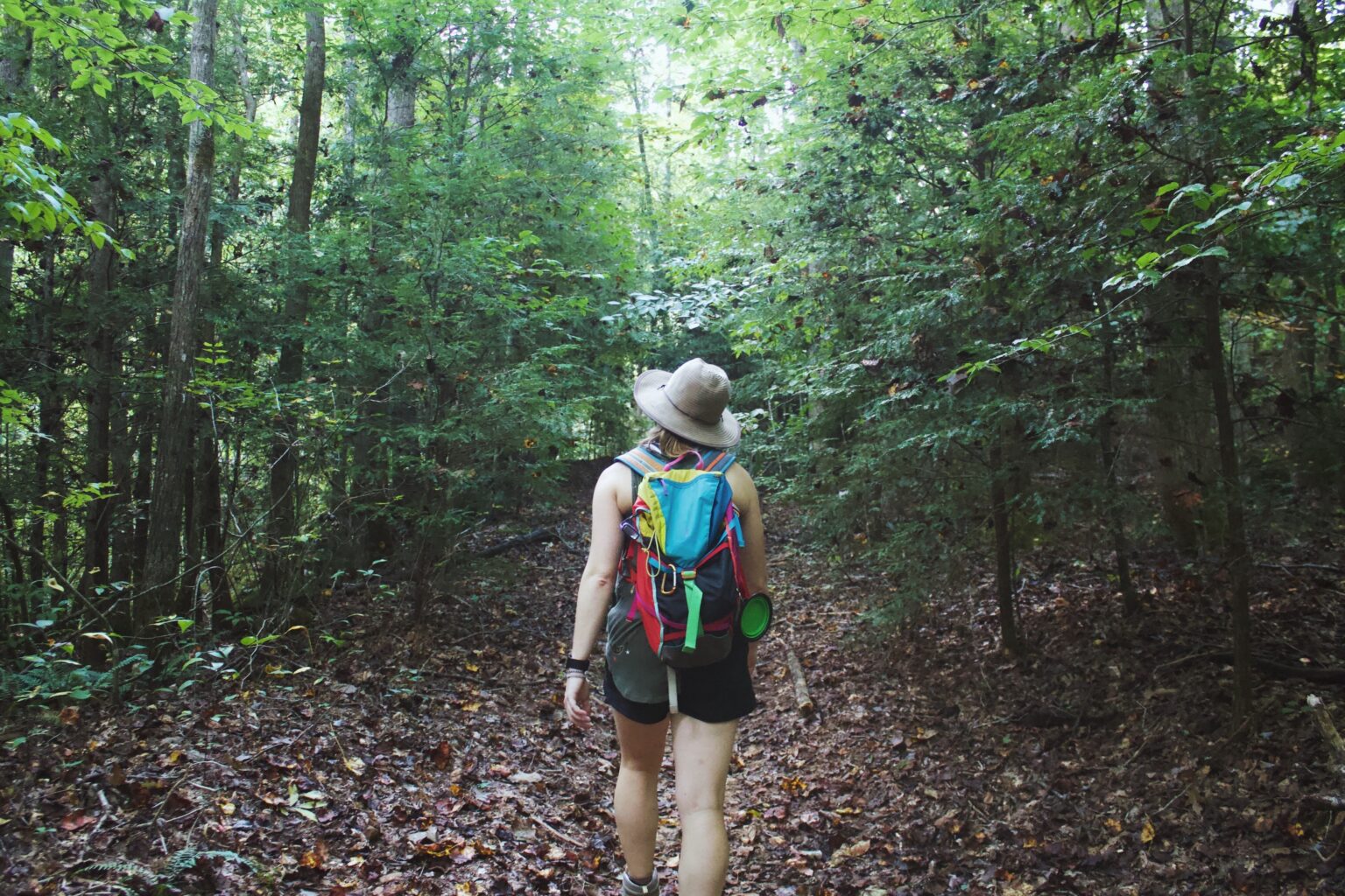 Top Things to Do in Boone Lake: A Tennessee Adventure - Lake.com