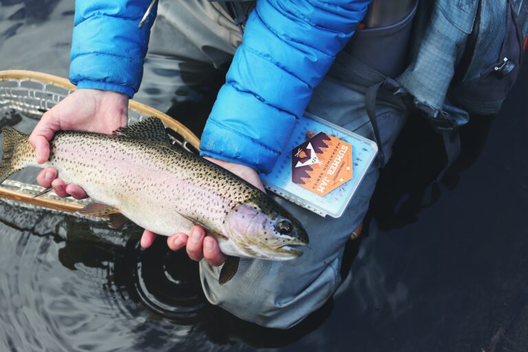 Best Time to Visit Lake Vermilion | Lake.com