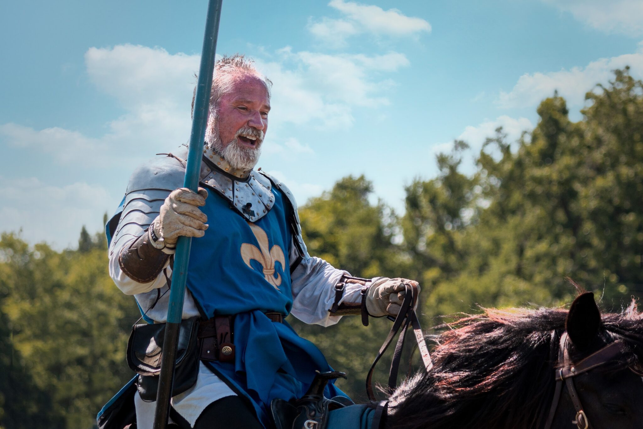 Great Lakes Medieval Faire: A Celebration of Chivalry & Merriment ...