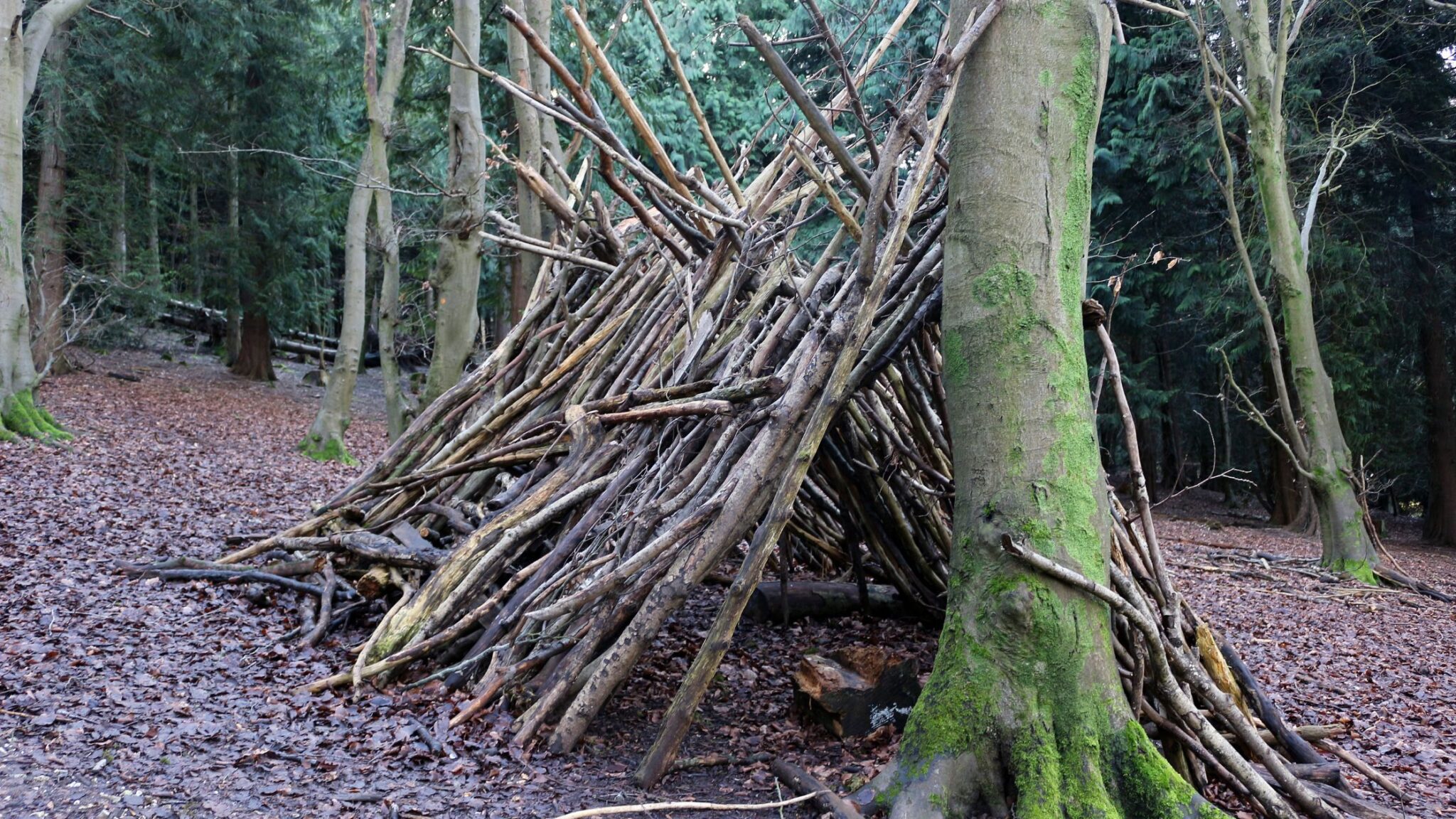 Outdoor Shelter Guide: How to Build 5 Essential Survival Shelters