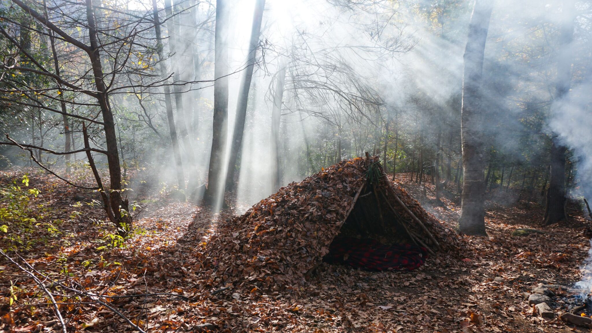 Outdoor Shelter Guide: How to Build 5 Essential Survival Shelters