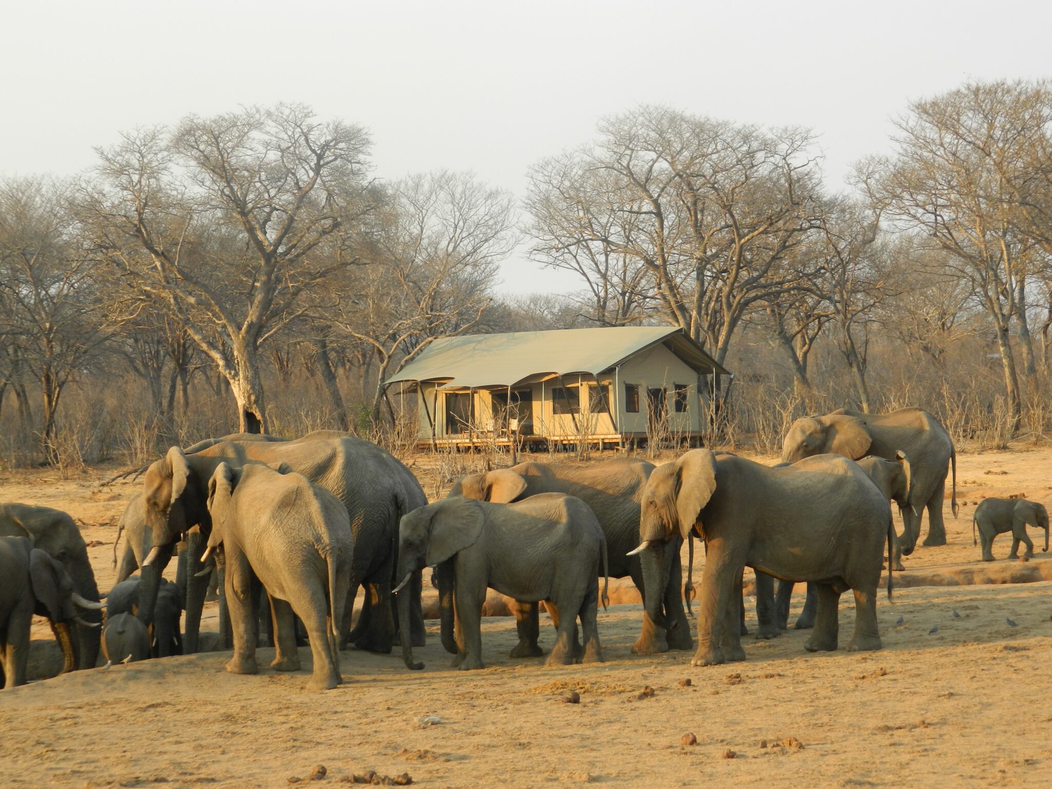 Ecotourism Guide: Sustainable Travel Tips and Best Practices