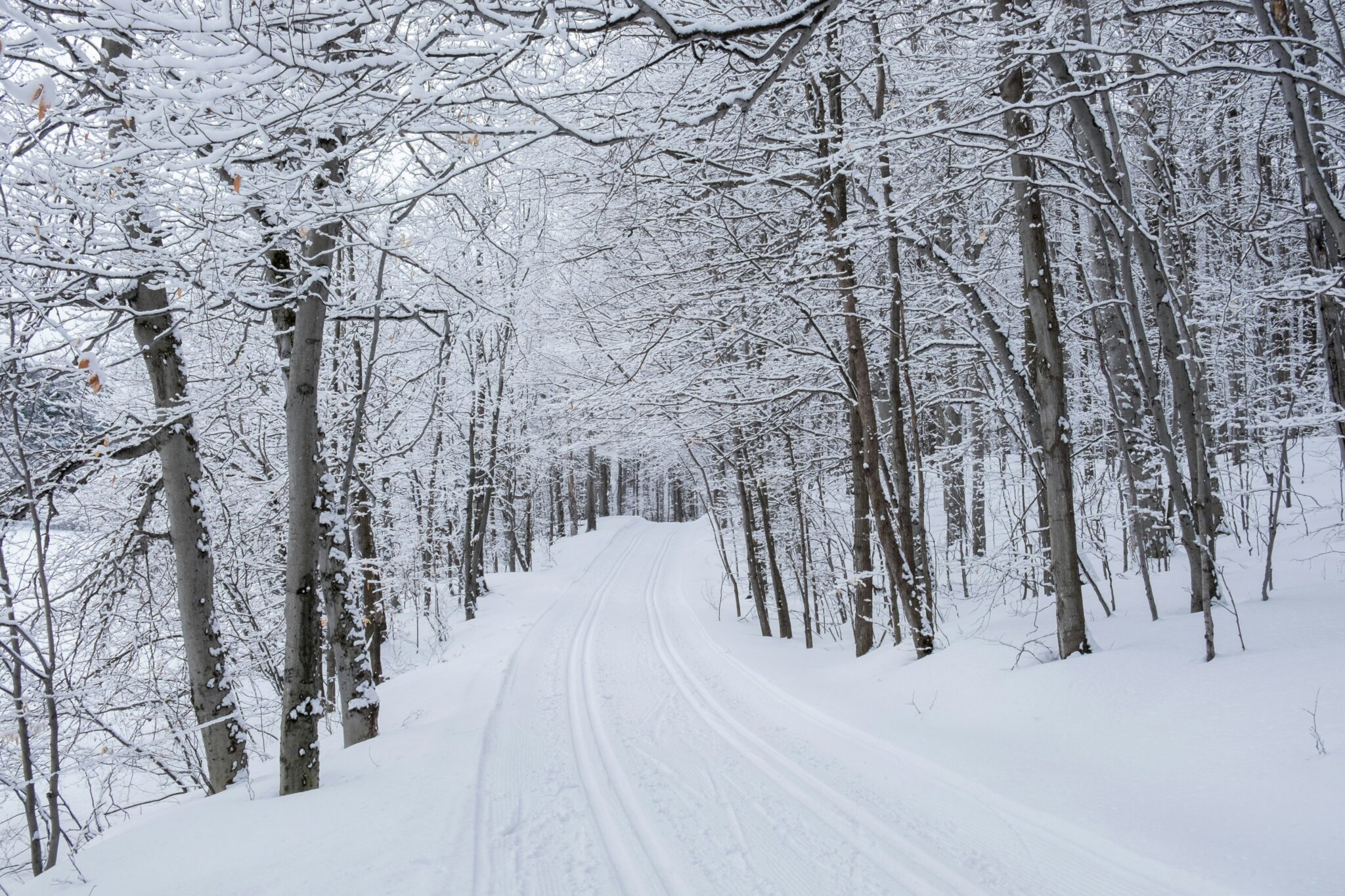Best Time to Visit Blue Mountain, ON (By Season) | Lake.com