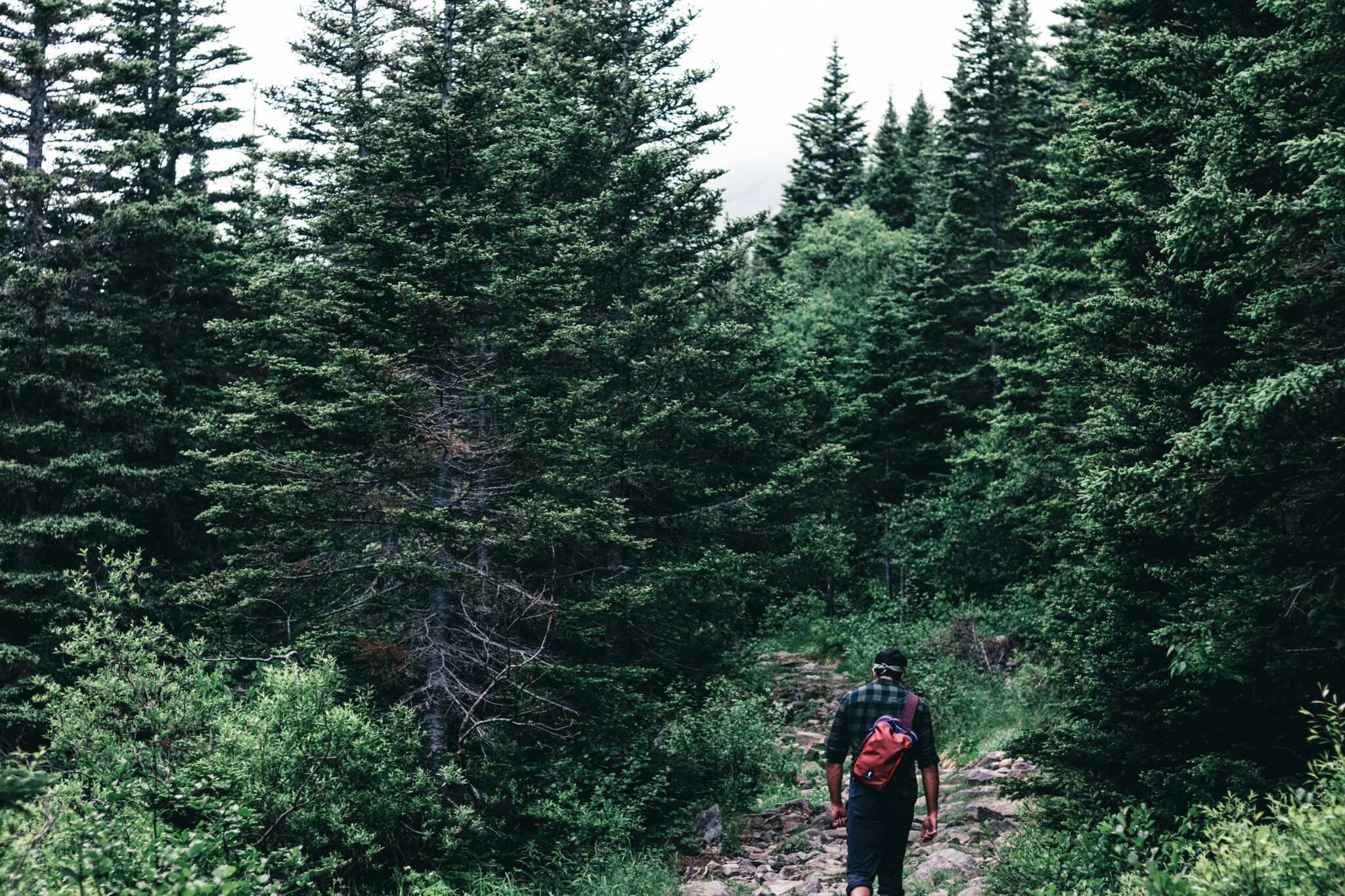 Best Time to Visit Blue Mountain, ON (By Season) | Lake.com