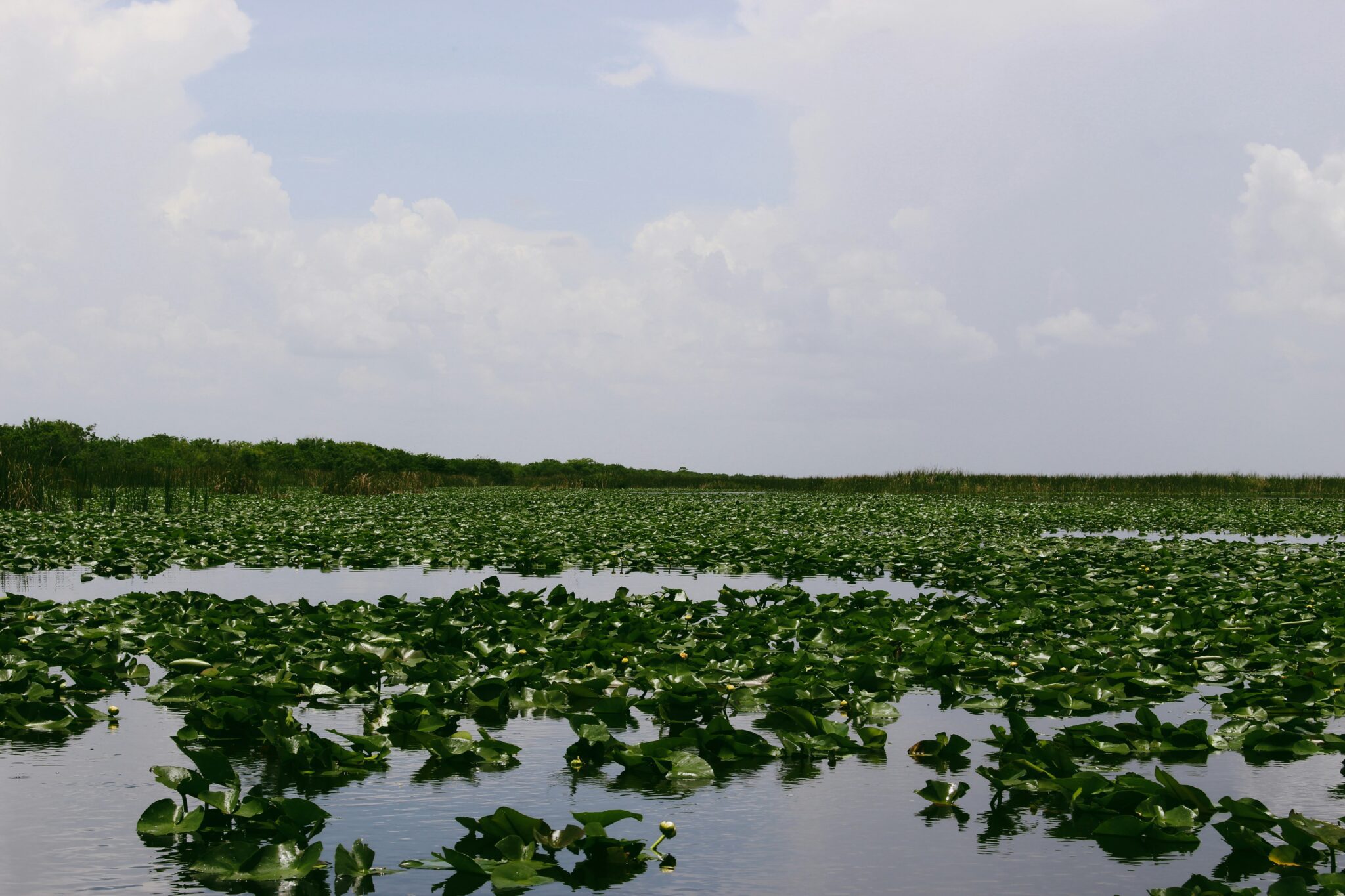 Everglades National Park Cabins and Vacation Rentals | Lake.com