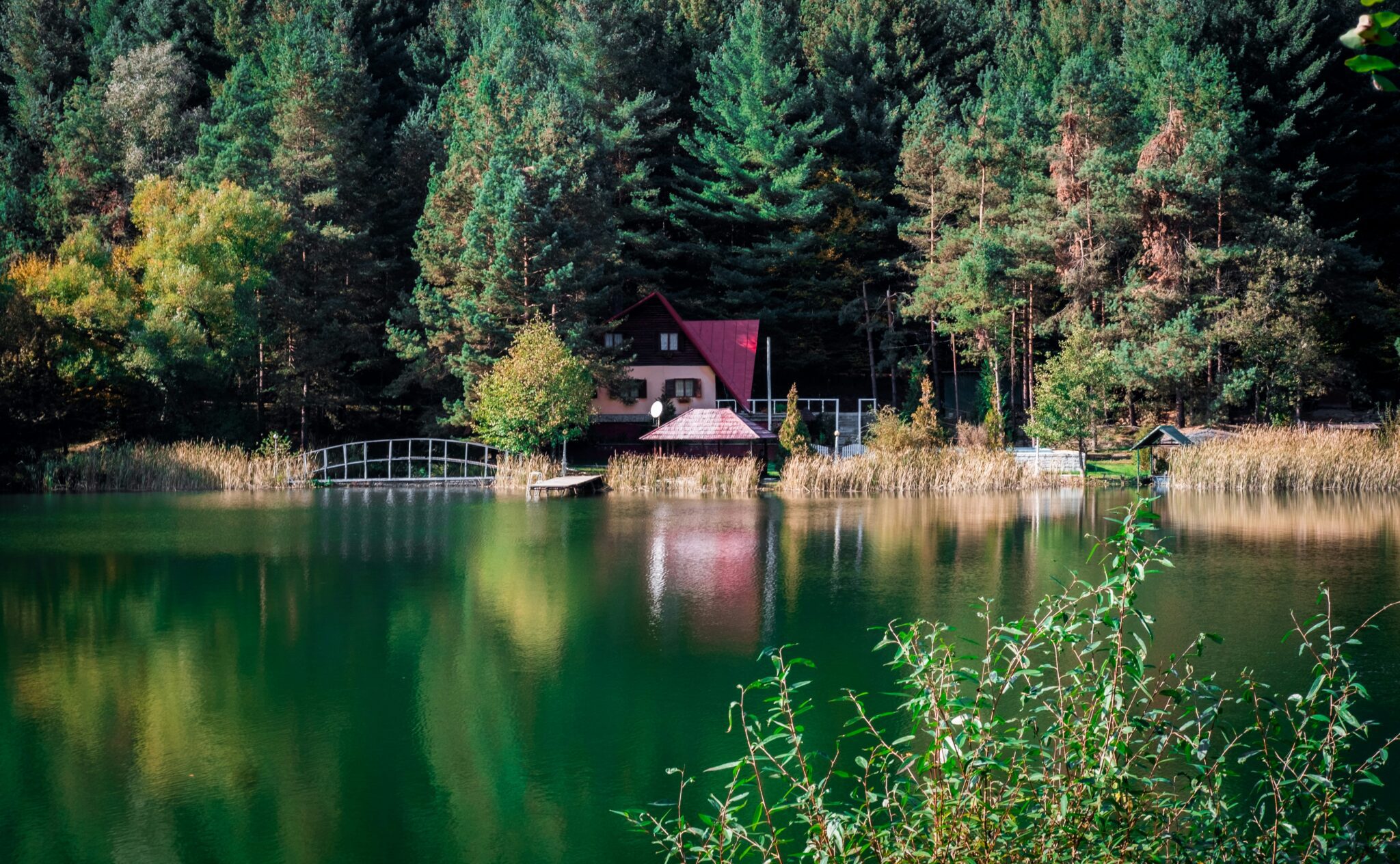 Lake Swimming: Safe & Fun Guide for Everyone
