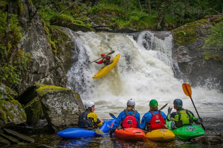 Kayak Buying Guide: Find the Perfect Boat for Your Adventure - Lake.com