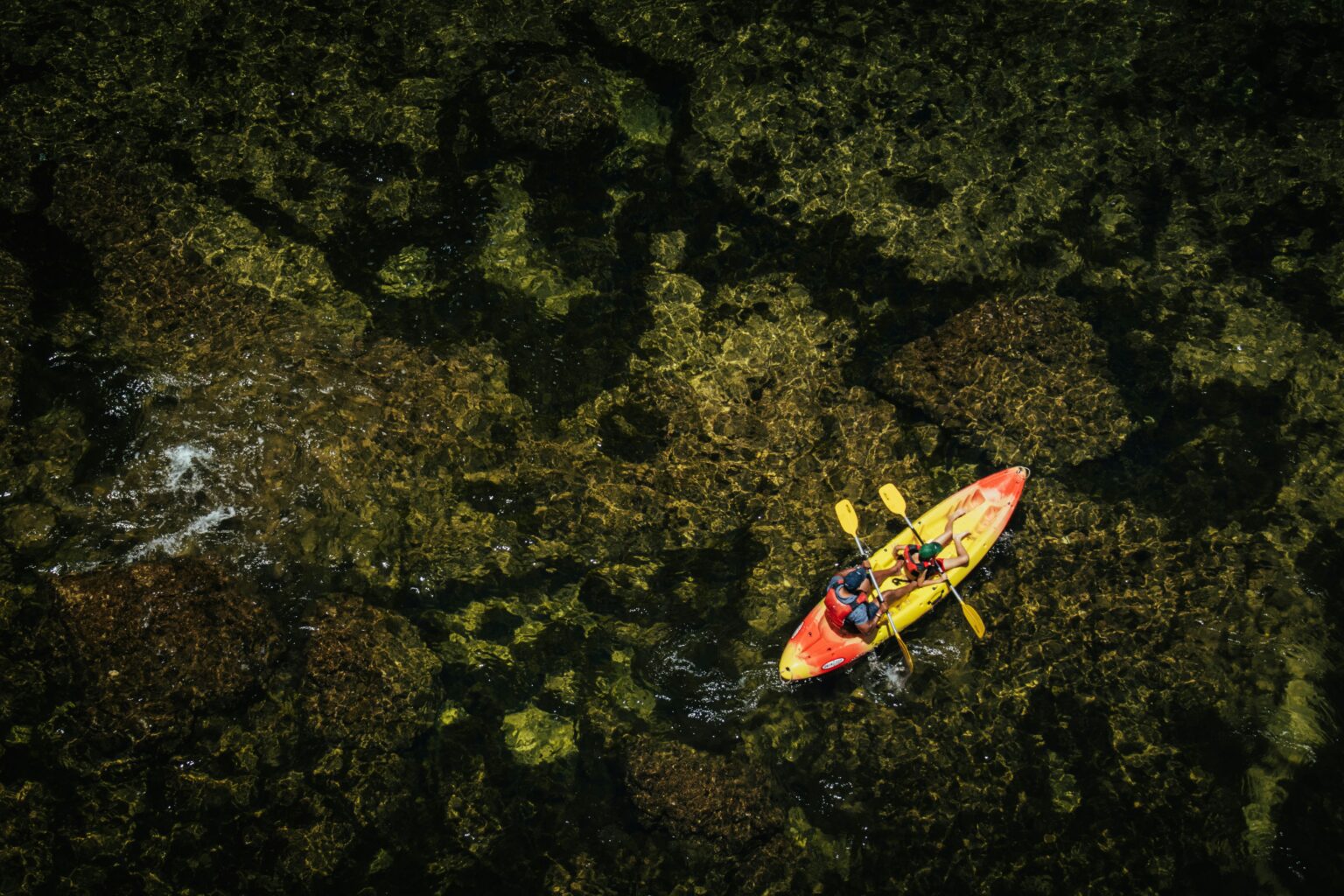 How to Paddle a Kayak and Canoe: Beginner Tips - Lake.com