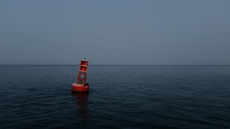 Buoy Types & Meanings: Colors & Shapes | Lake.com