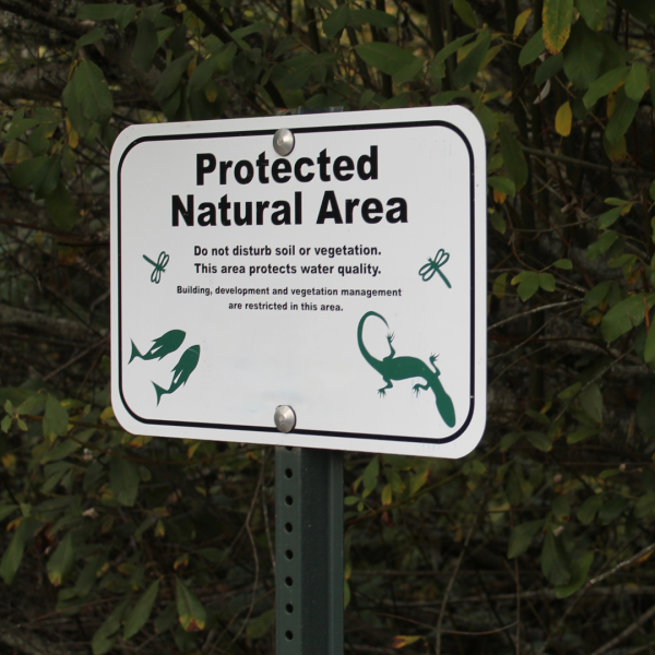 Do You Know When Not to Swim in a Lake? What to Look For