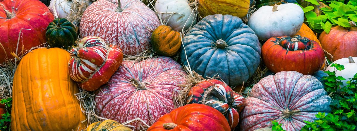 New Jersey Fall Festivals: The 16 Best Events for 2024