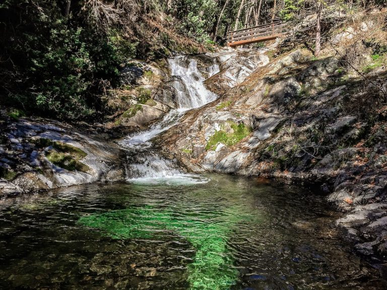 Trinity Lake Resort & Marina | Trinity Lake | Boat Rentals, Slips, Fuel ...