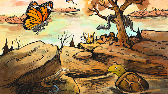 MacDonald Island Marina, Ontario | Lake St. Lawrence | Slips, Fuel ...