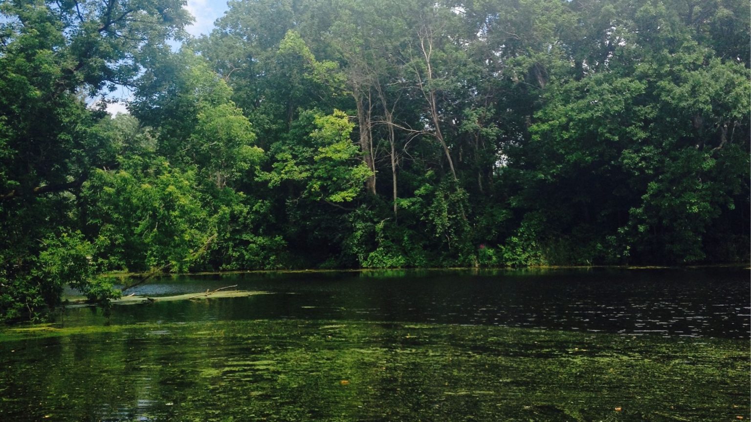 Nanticoke River Invasive Fishing Derby | Lake.com