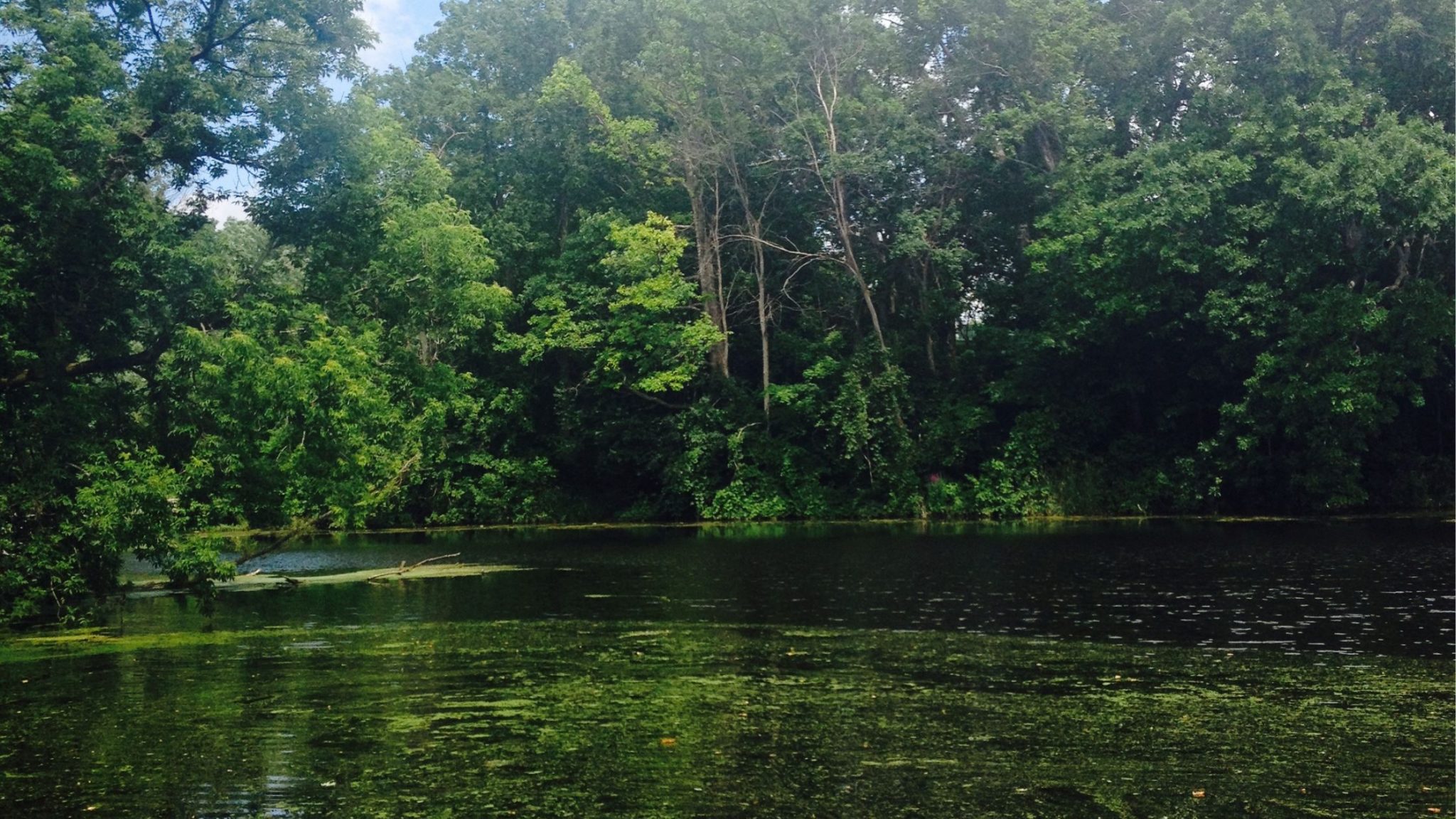 D&R Sports Center Series at the Hardy Dam Pond