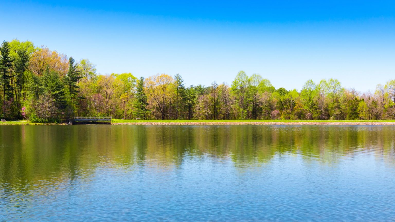 Lake Scugog Ontario Canada Travel Photos & Activities | Lake.com