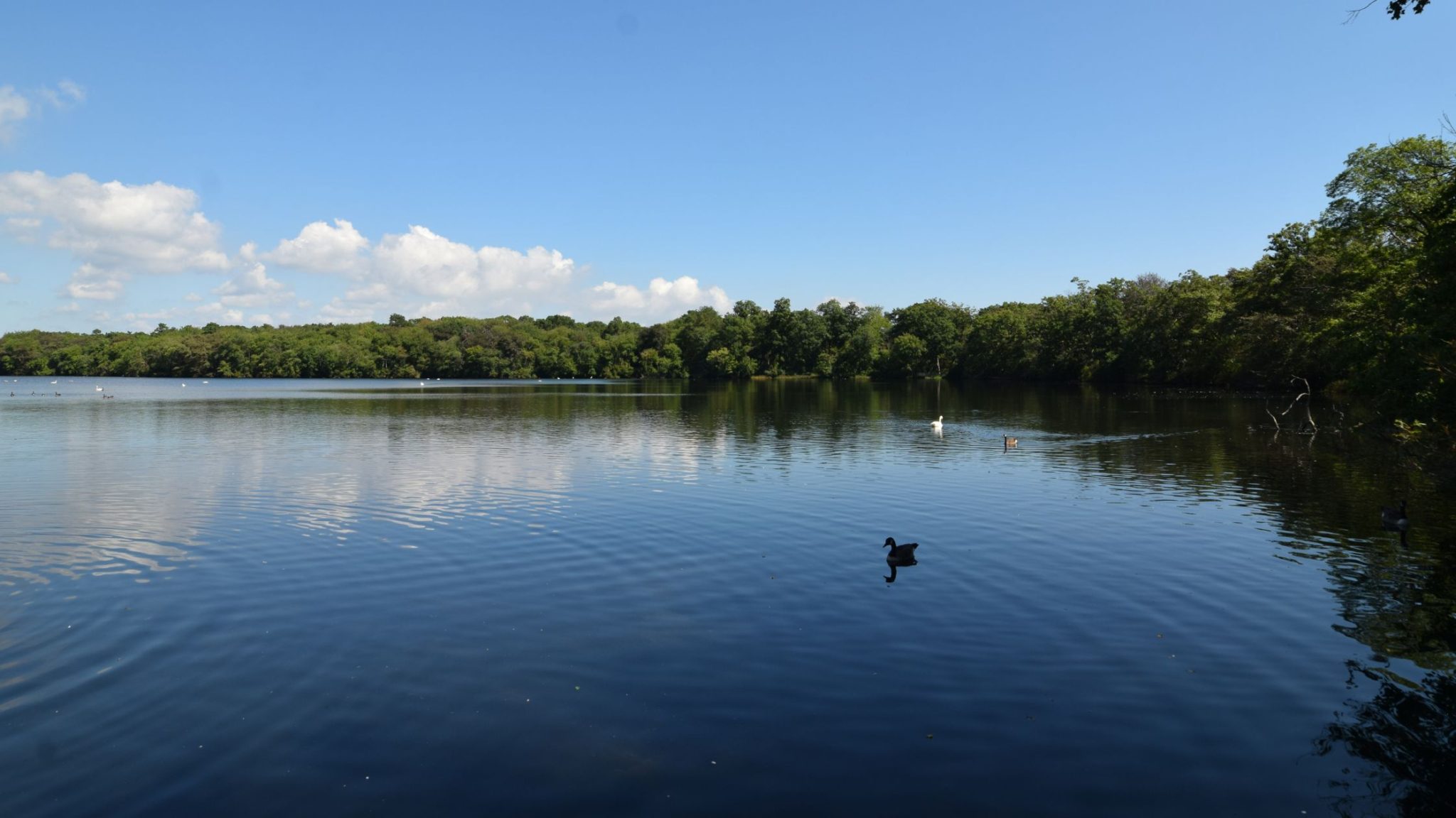 Lake Beulah Cabins & Rentals | Explore Wisconsin | Lake.com