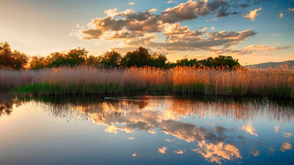 Lake Utopia Cabin & Vacation Rentals | Lake.com