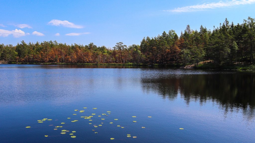 Lake Beulah Cabins & Rentals | Explore Wisconsin | Lake.com