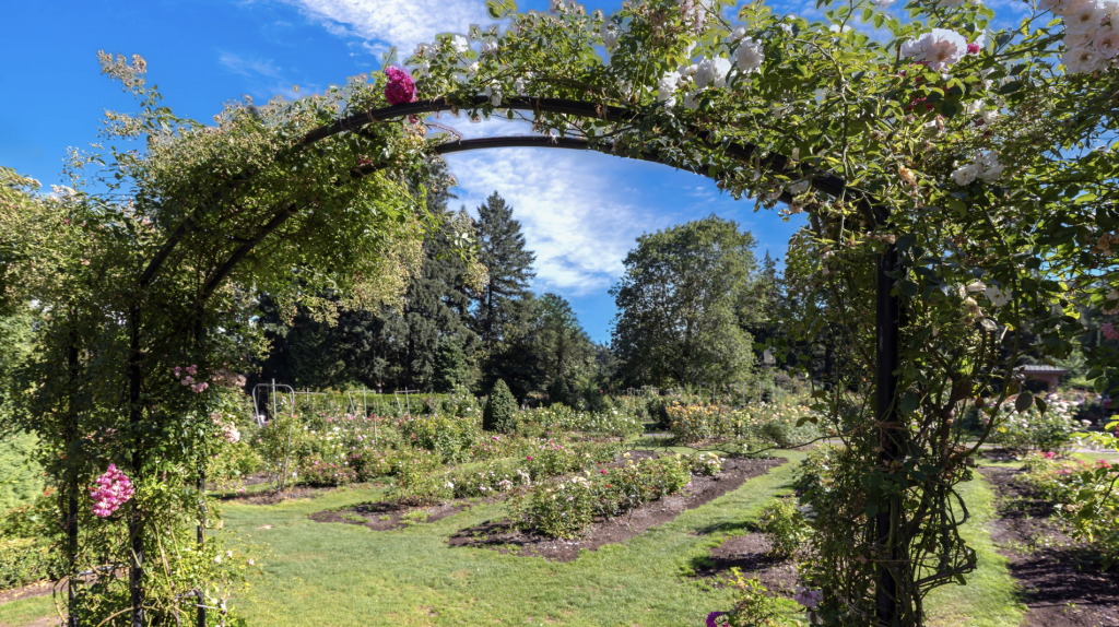 Multnomah County Fair 2026 | Oaks Park Portland