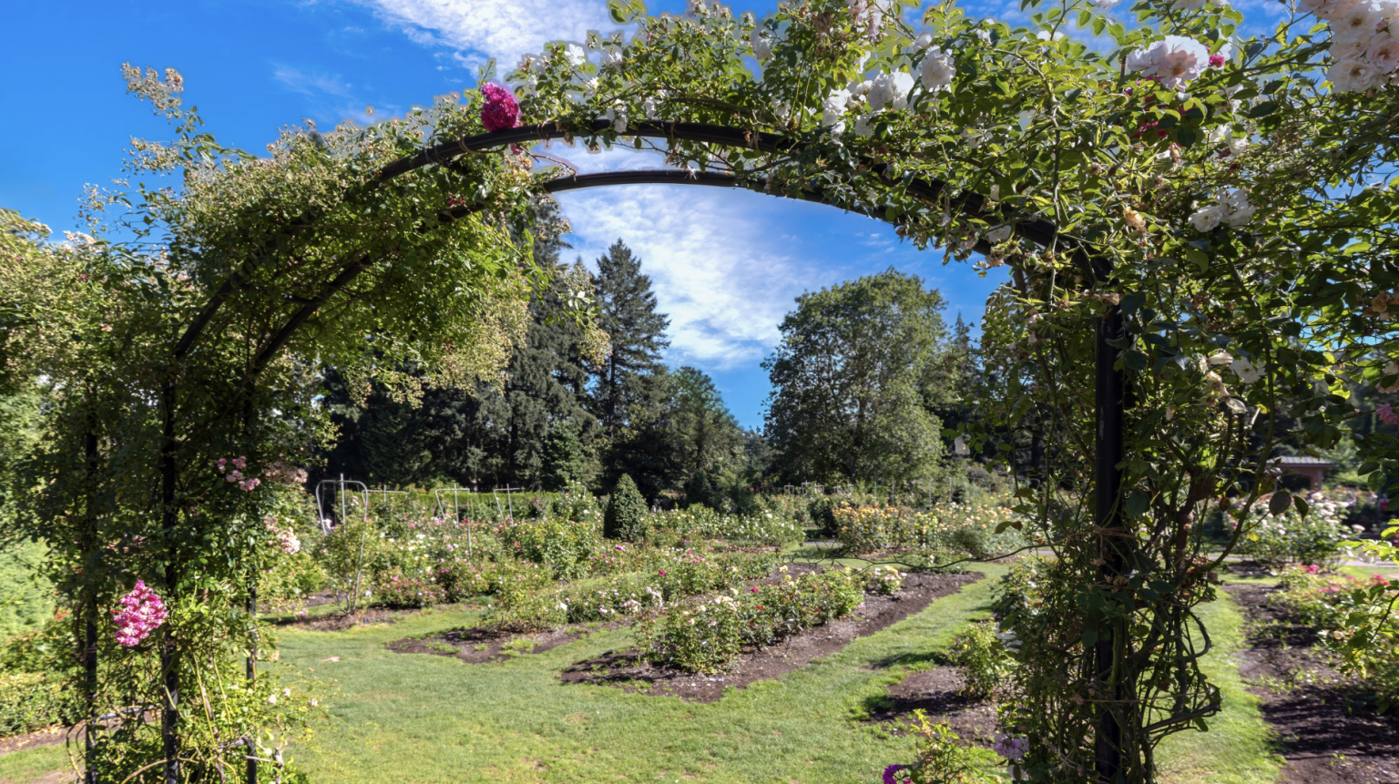 Multnomah County Fair 2026 | Oaks Park Portland